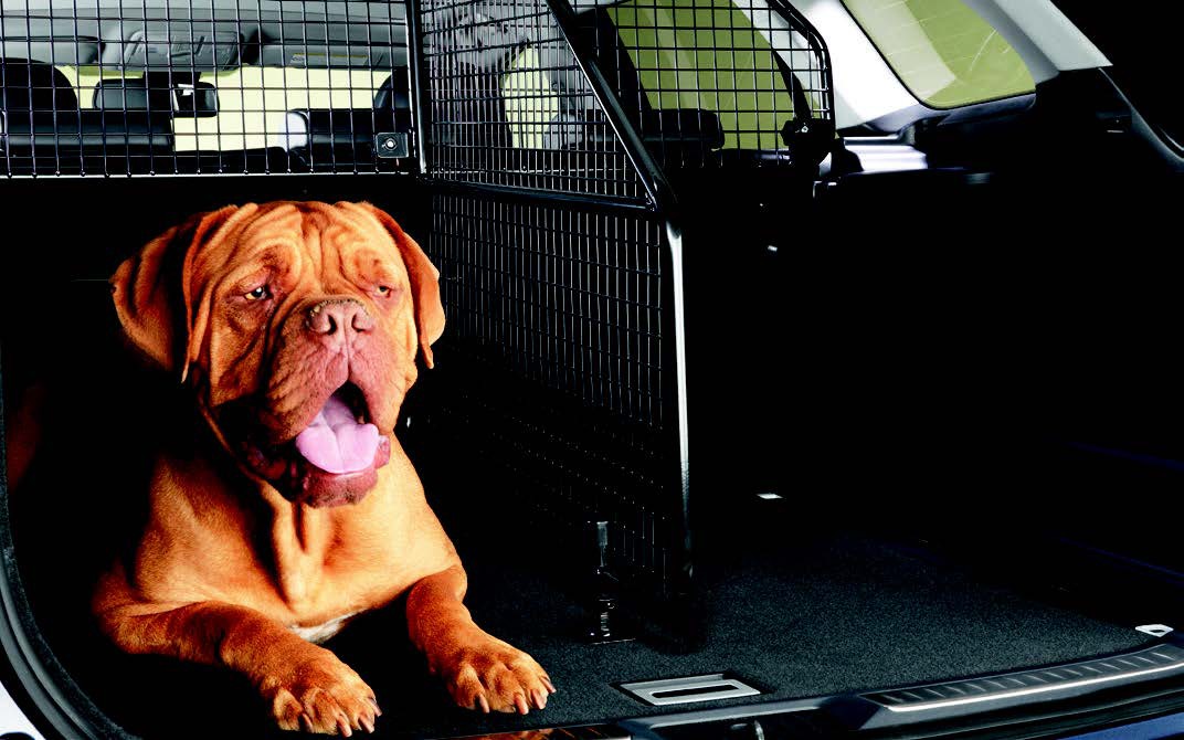 Proverena Toyota polovna vozila | Toyota Srbija